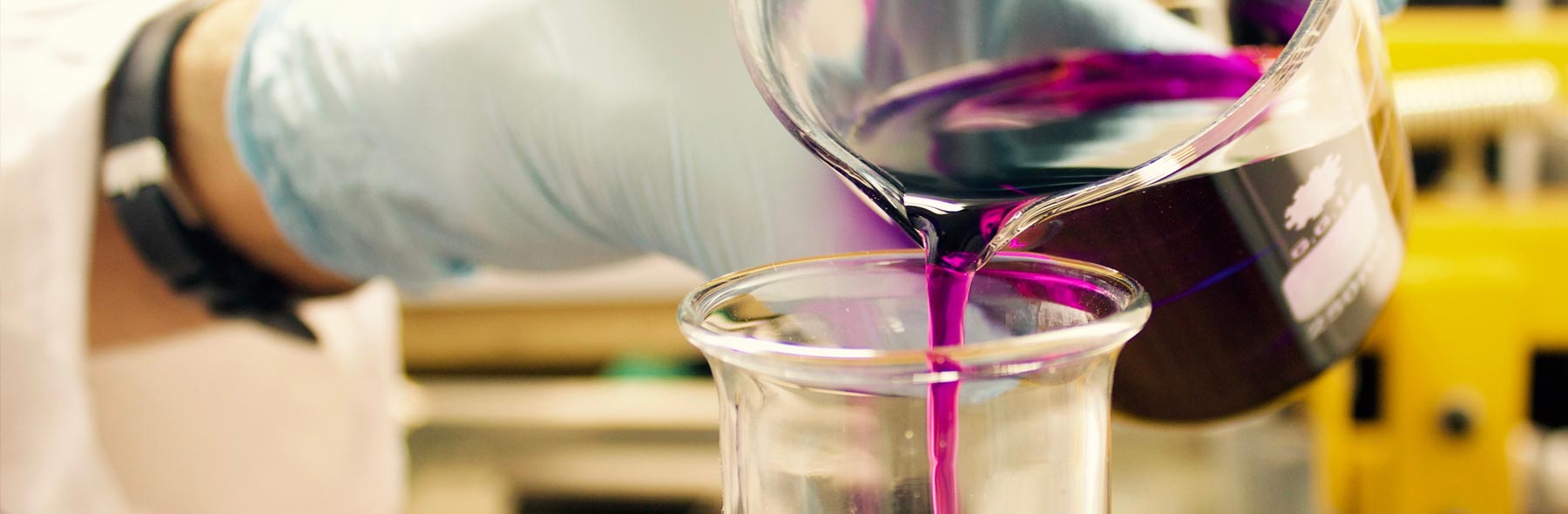 Home Page - Burroughs Wellcome Fund