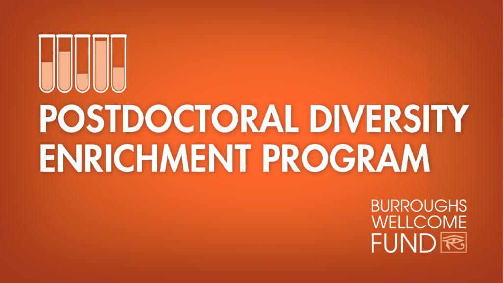Announcing the Recipients of the 2024 Postdoctoral Diversity Enrichment ...